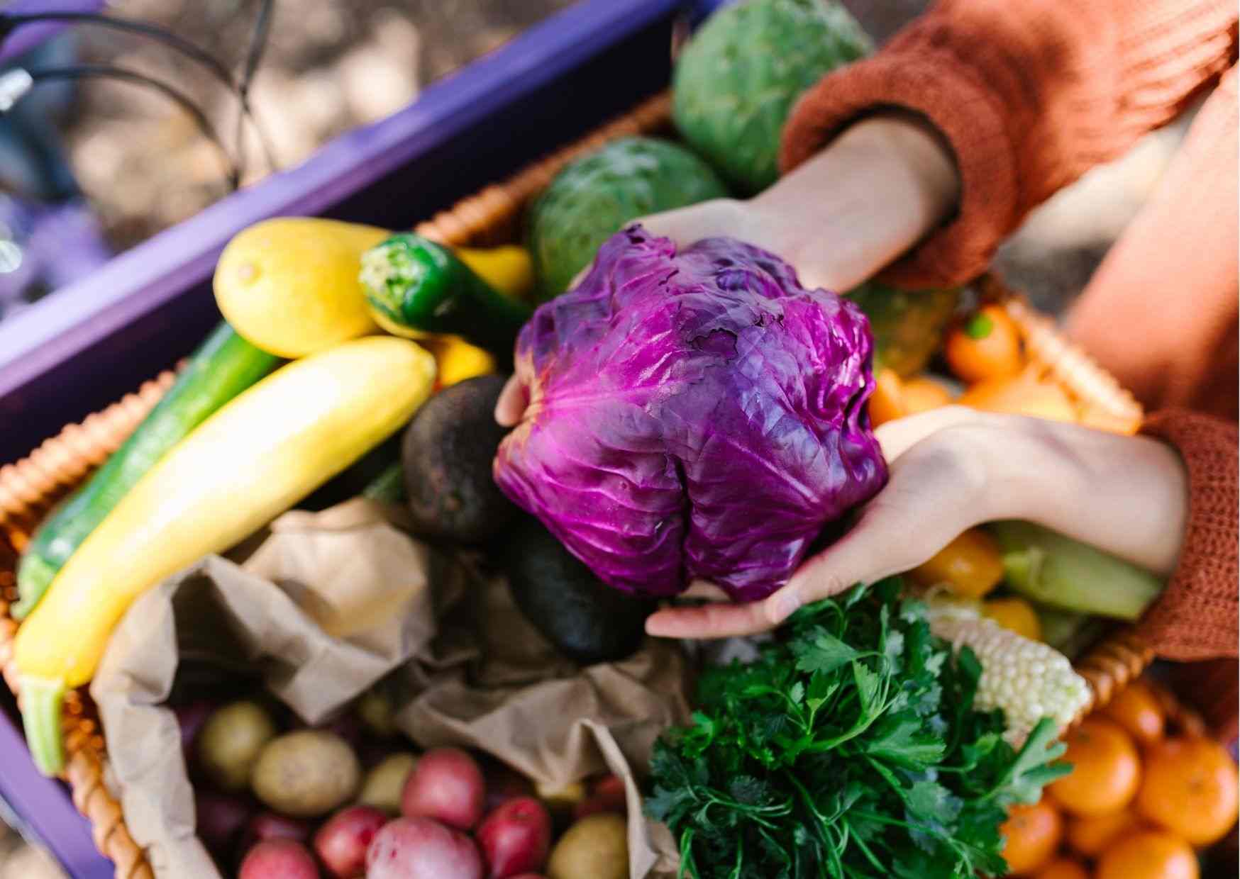 Hvad er sunde og usunde madvarer? - Bliv klogere her